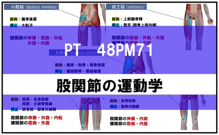 胃の解剖について正しいのはどれか。【第52回理学療法士国家試験pm58】 — 理学療法士国家試験対策ptes
